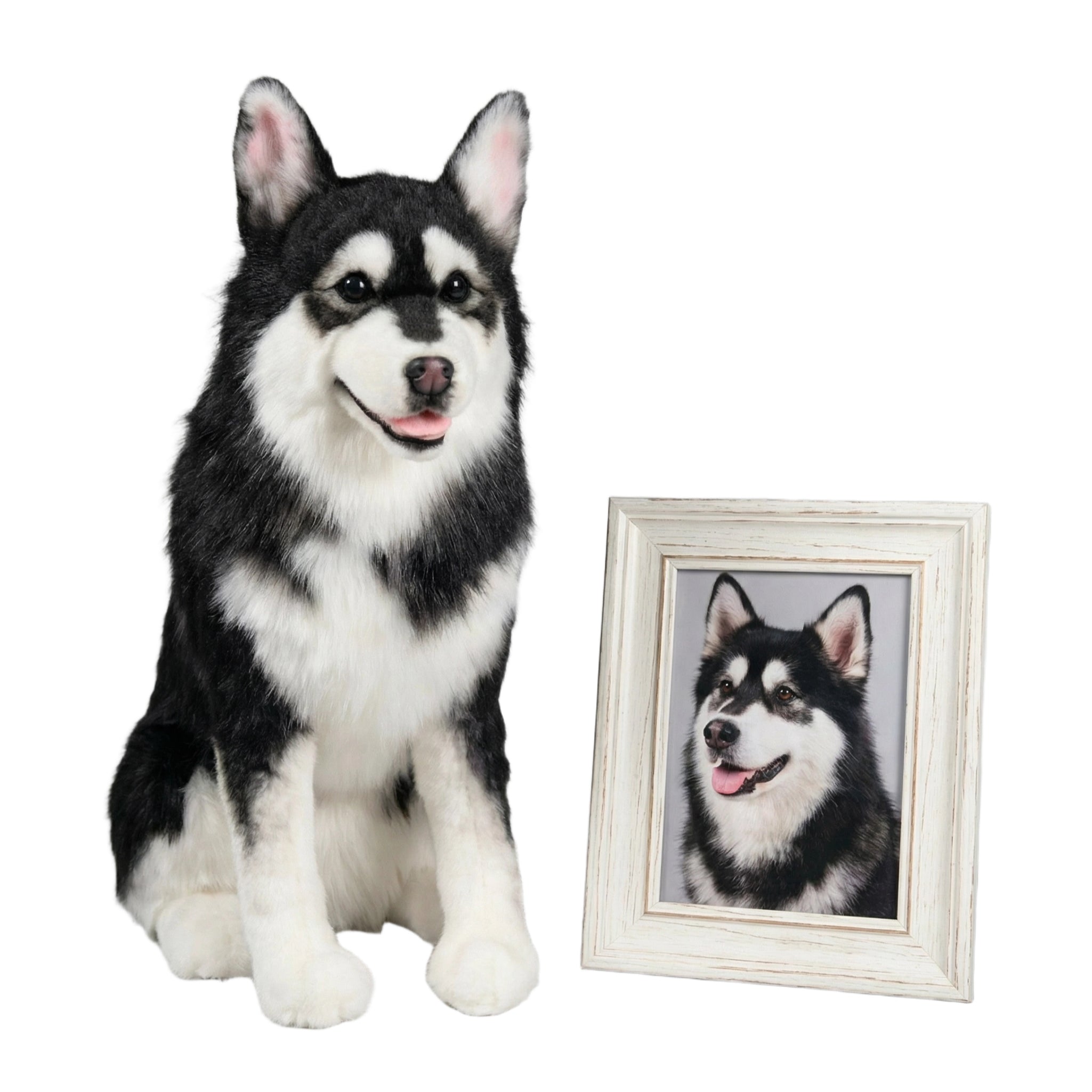 Custom Pet Plush From Photo | Custom Stuffed Animals & Custom Dog Plushies